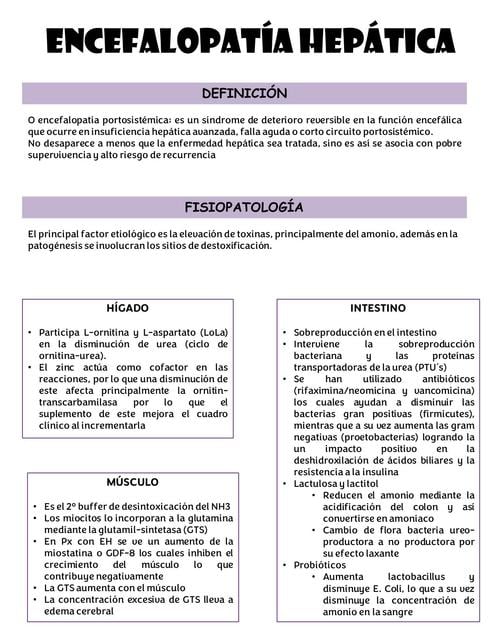 Encefalopatía Hepática: Tipos, Causas, Síntomas, Tratamiento – QTCBPC