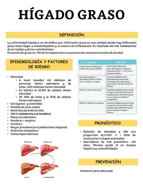 Hígado graso | Medlink.t | uDocz