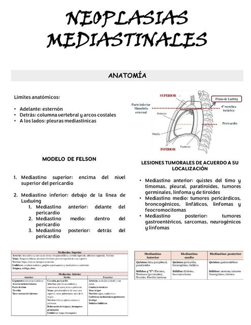 Neoplasias mediastinales | Medlink.t | uDocz