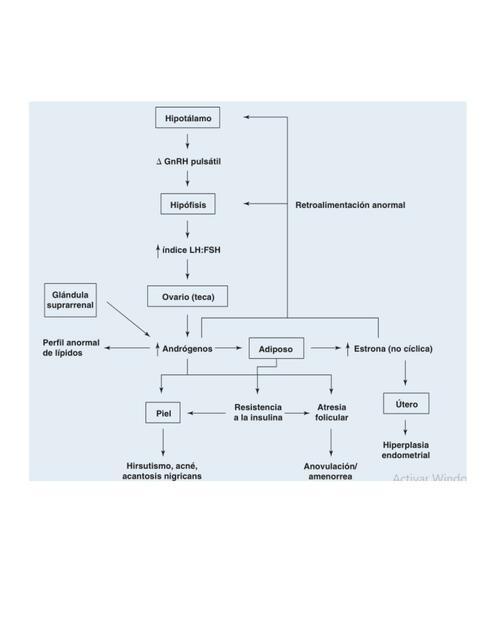 Hipotálamo | ESPM MEDICINA | uDocz