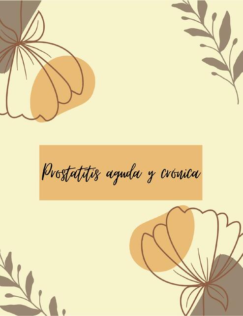 Prostatitis Aguda y Crónica | Sofia Jiménez | uDocz