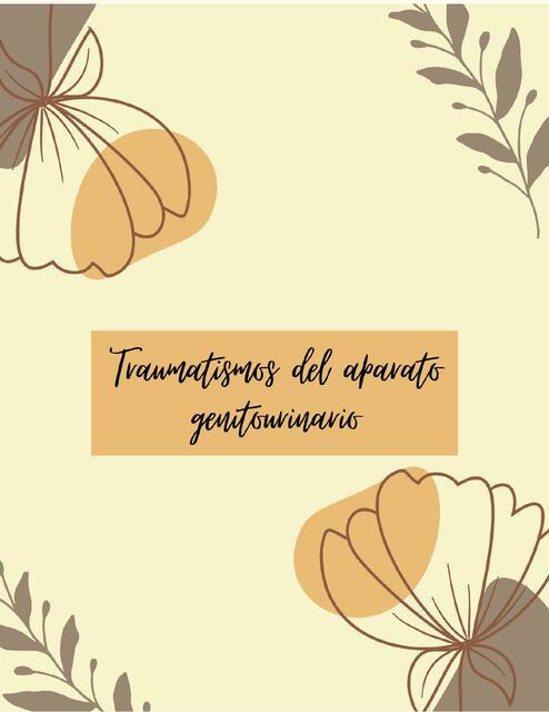Traumatismos de Aparato Genitourinario | Sofia Jiménez | uDocz