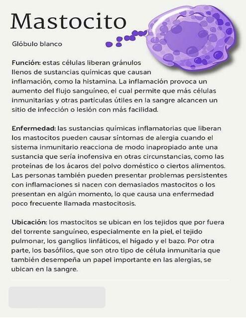 Mastocito | fraii | uDocz