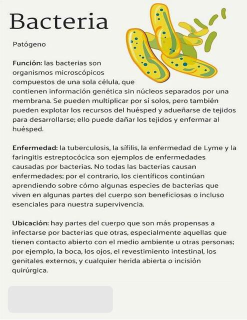 Bacteria | fraii | uDocz