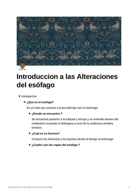 Introducción a las Alteraciones del esófago | ESPM MEDICINA | uDocz