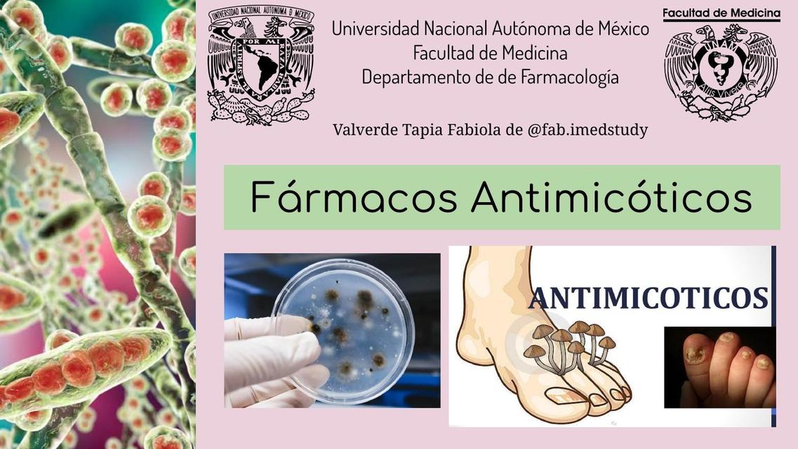 Fármacos Antimicóticos | StudyNotesMex | uDocz