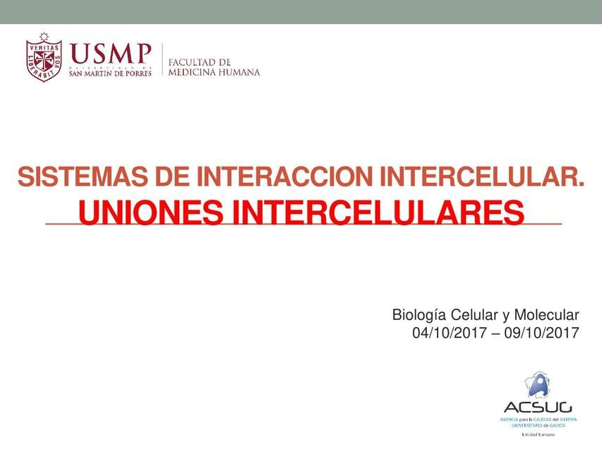Sistemas de interacción intercelular. Uniones intercelulares | Tiroxina ...