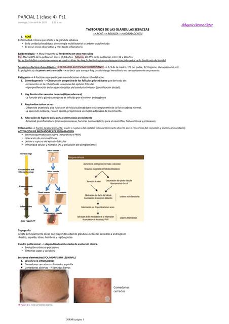 Parcial 1 clase 4 | MEDilove | uDocz