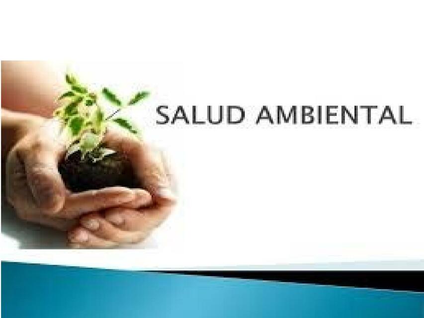 Salud Ambiental | MARYURI LISBETH | uDocz