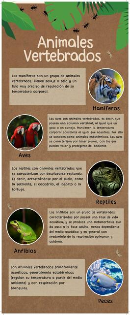 Animales Vertebrados | MARYURI LISBETH | uDocz