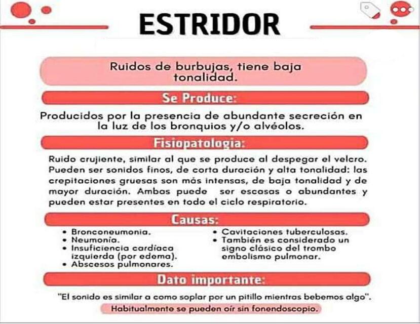 Resúmenes de Estridor | Descarga apuntes de Estridor