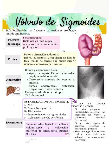 Resúmenes de Vólvulo de sigmoides | Descarga apuntes de Vólvulo de ...