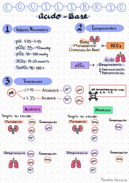 Equilibrio Acido Base | Sandra Herrera Esparza | uDocz