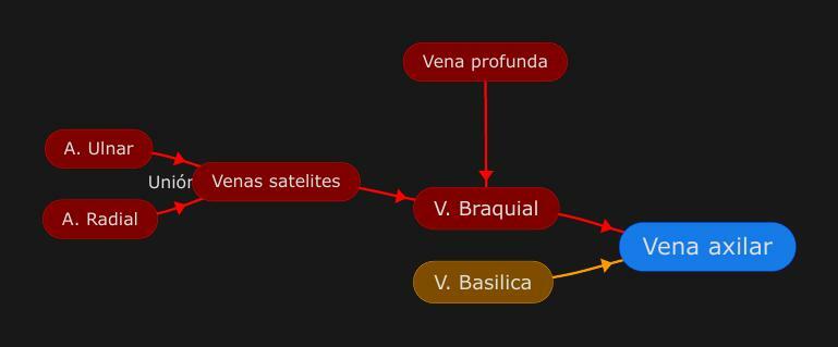 Vena axilar | uDocz Vena axilar | uDocz
