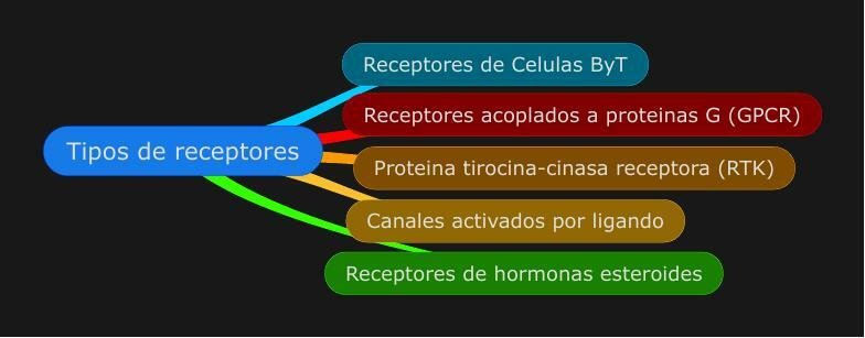 Tipos de receptores | uDocz