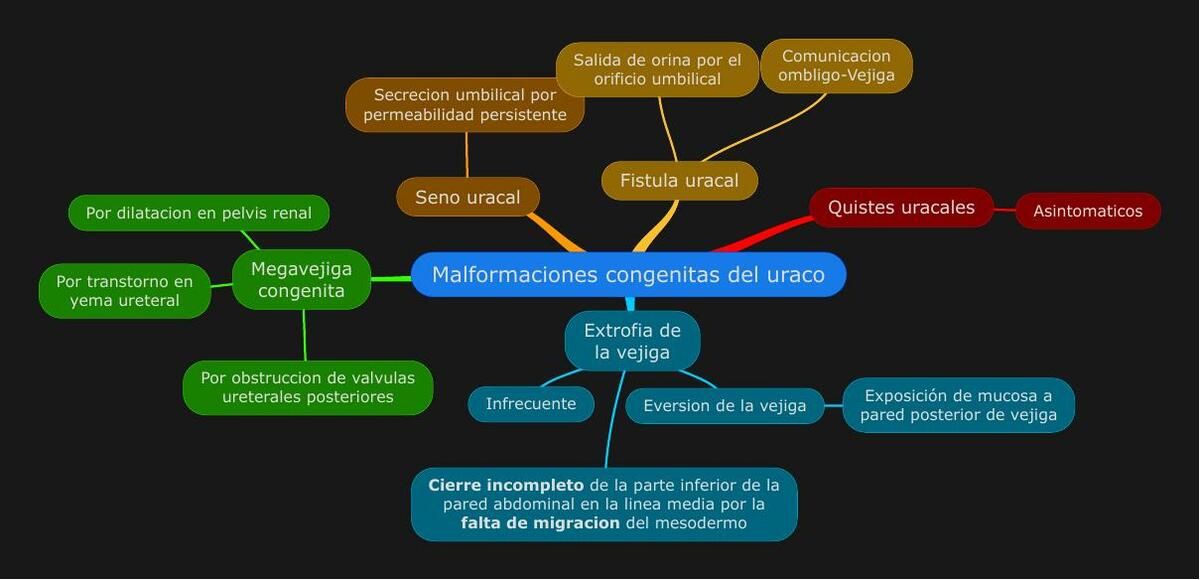 Malformaciones congénitas del uraco | uDocz