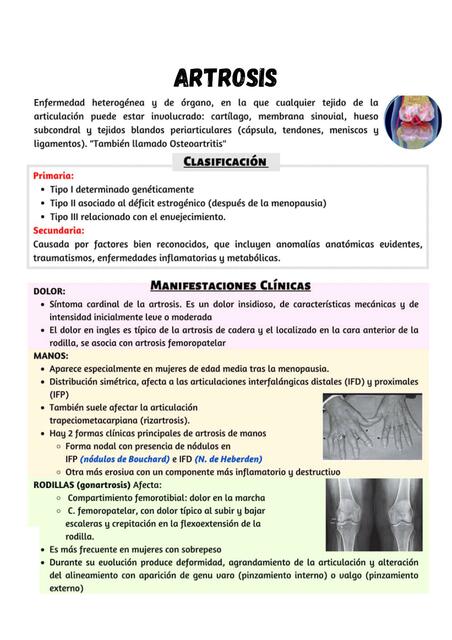 ARTROSIS | MARYURI LISBETH | uDocz