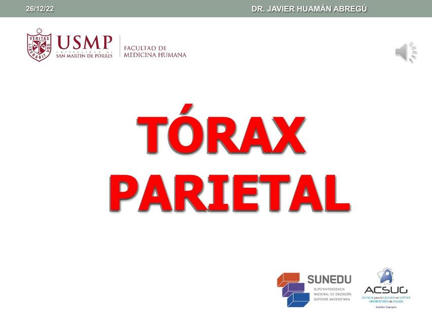 Tórax parietal | Tiroxina Med | uDocz