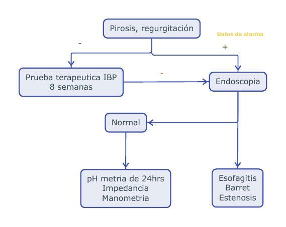 Pirosis regurgitación | uDocz