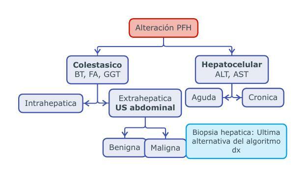 Alteración pruebas de función hepática | uDocz