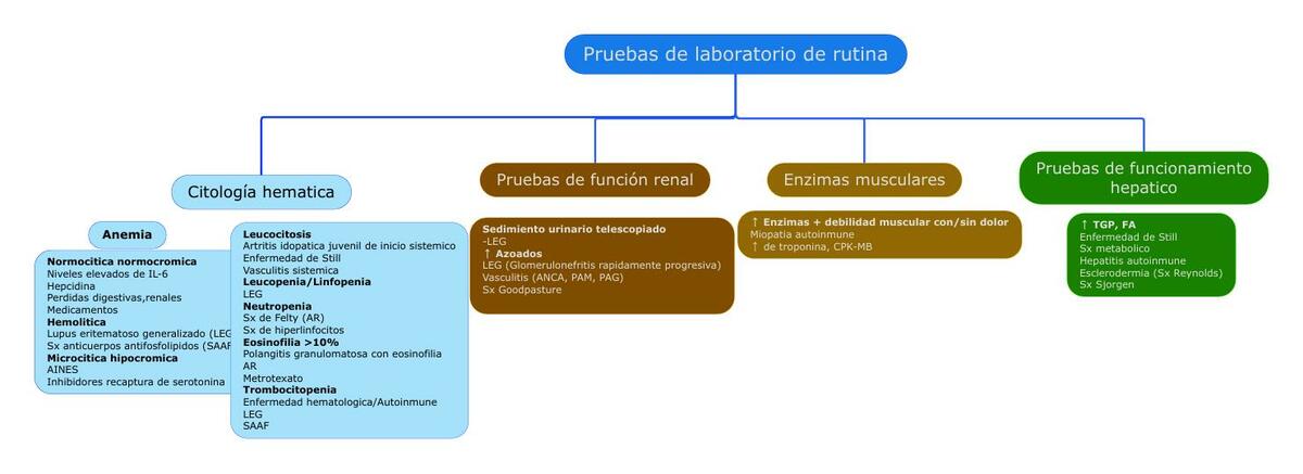 Pruebas de laboratorio de rutina | uDocz