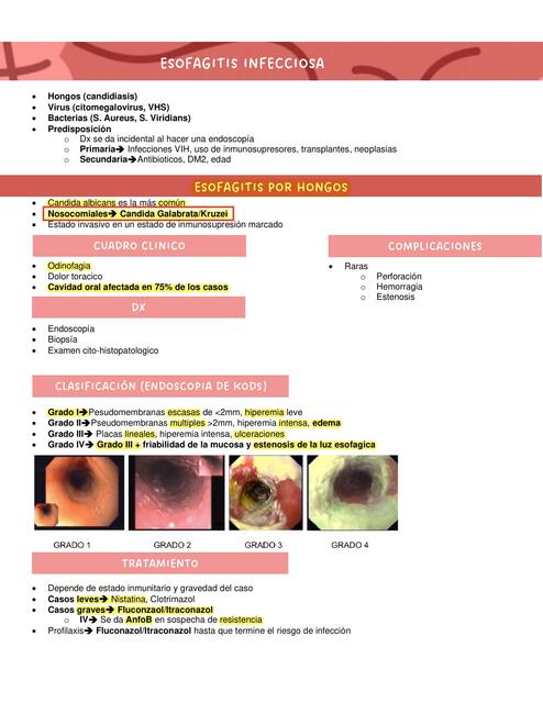 Esofagitis por hongos | uDocz