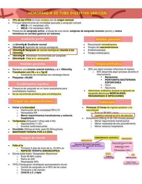 Hemorragia de tubo digestivo variceal | uDocz