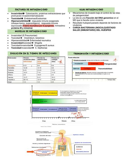 Transmisión y Patogenicidad | uDocz