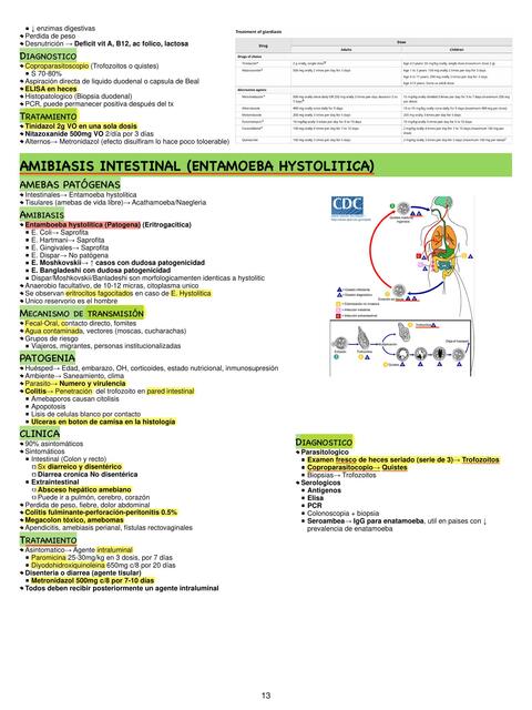 Amibiasis intestinal entamoeba hystolitica | uDocz
