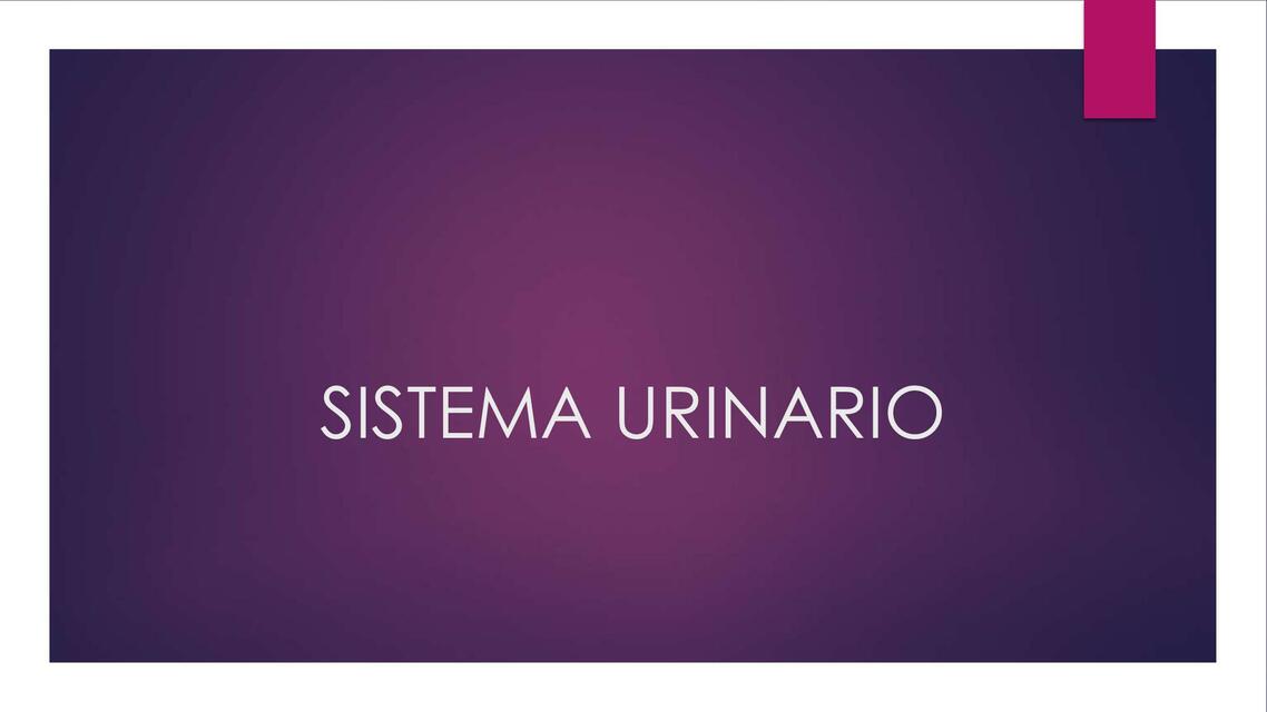 Sistema urinario | Tiroxina Med | uDocz