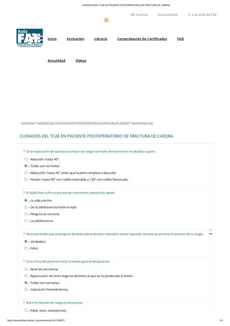 Cuidados Del Paciente Postoperatorio De Fractura De Cadera Ana Carmen