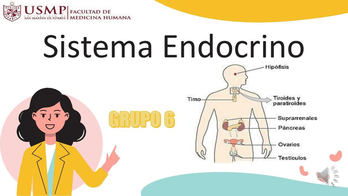 Sistema Endocrino | Tiroxina Med | uDocz