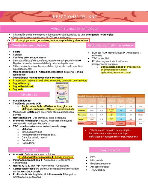 Meningitis bacteriana aguda | uDocz