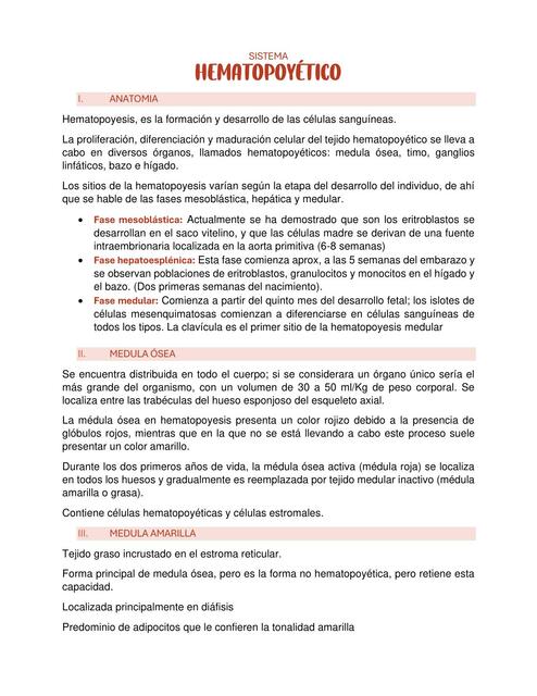 Sistema hematopoyético | Ana Guadalupe Ruiz Rodriguez | uDocz