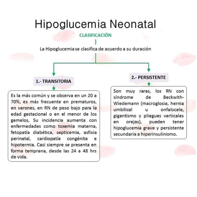Resúmenes de Hipoglucemia transitoria | Descarga apuntes de ...