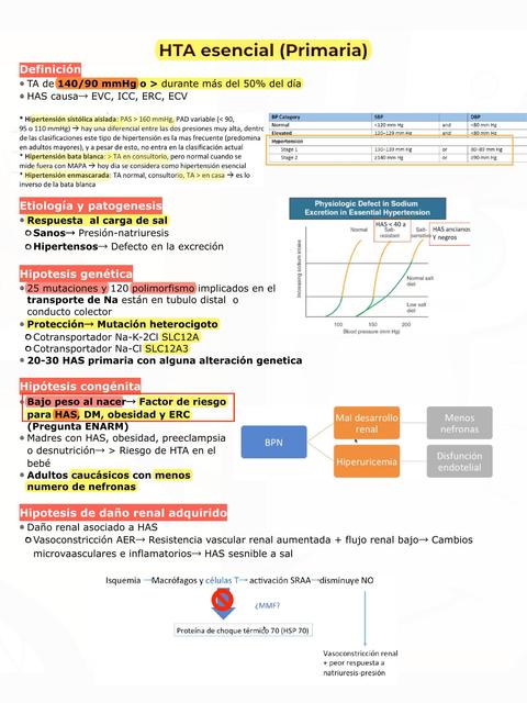 HTA esencial | uDocz