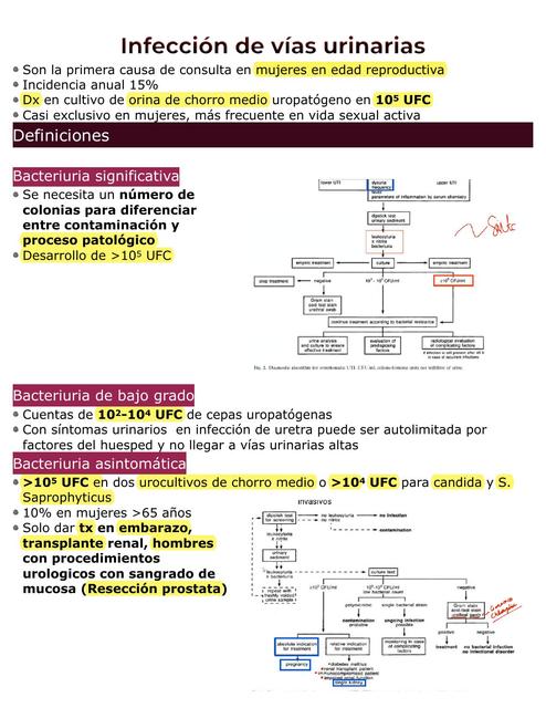 Bacteriuria asintomática | uDocz