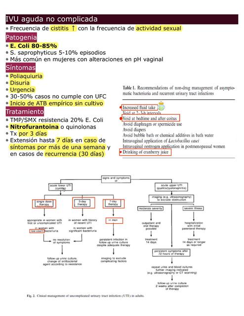 IVU aguda no complicada | uDocz