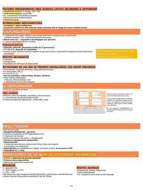 Clorpropamida | uDocz