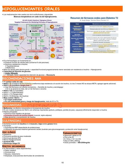 Hipoglucemiantes orales | uDocz