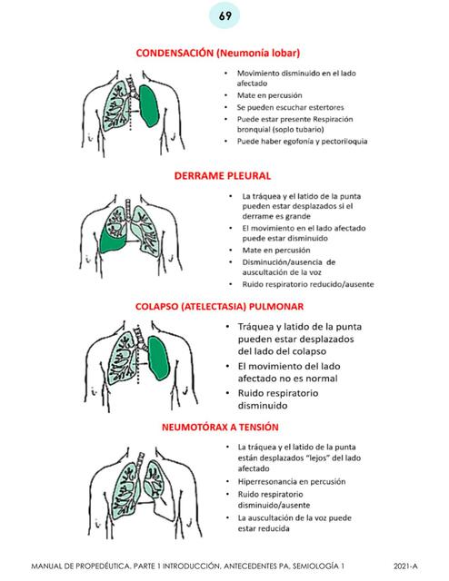 Afecciones pulmonares | uDocz