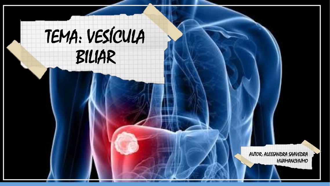 Anatomía De La Vesícula Biliar: Estructura Y Funciones En El Sistema ...
