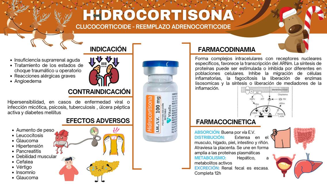 Hidrocortizona Linda Milena León Gómez Udocz