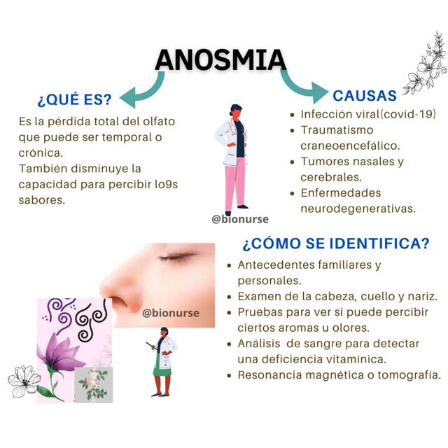 Anosmia | MARYURI LISBETH | uDocz