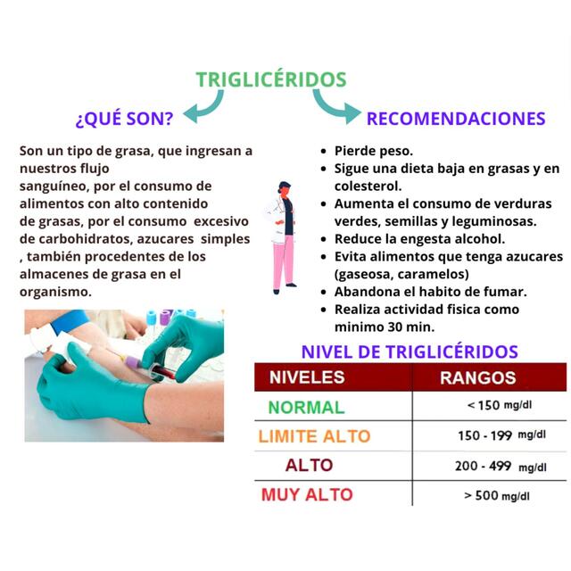 Triglicéridos | MARYURI LISBETH | uDocz