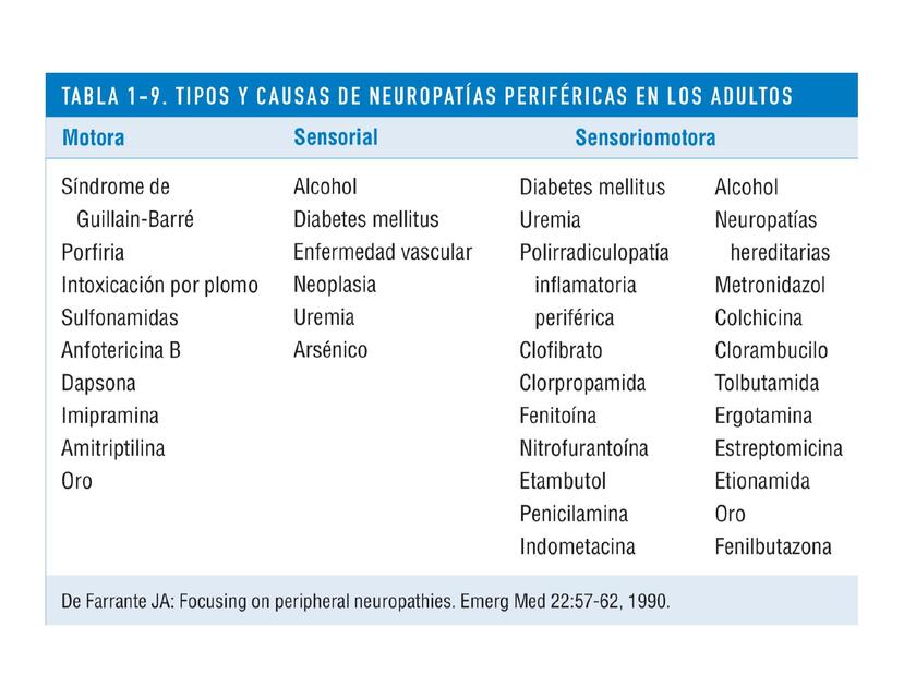Tipos y causas de neuropatías periféricas en los adultos | uDocz