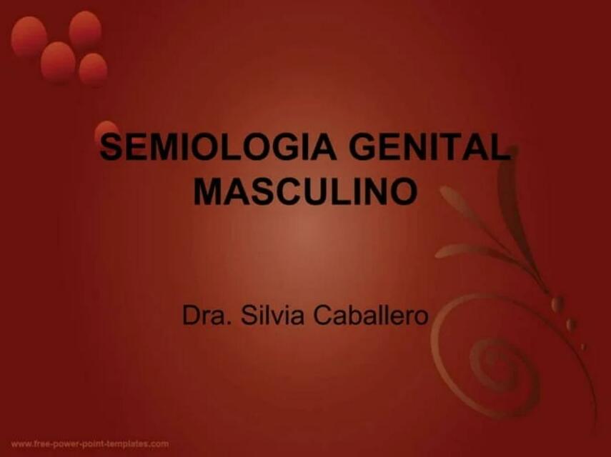 Semiología genital masculina | MARYURI LISBETH | uDocz