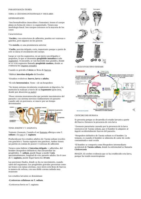 Céstodos Intestinales y Tisulares | Tiroxina Med | uDocz