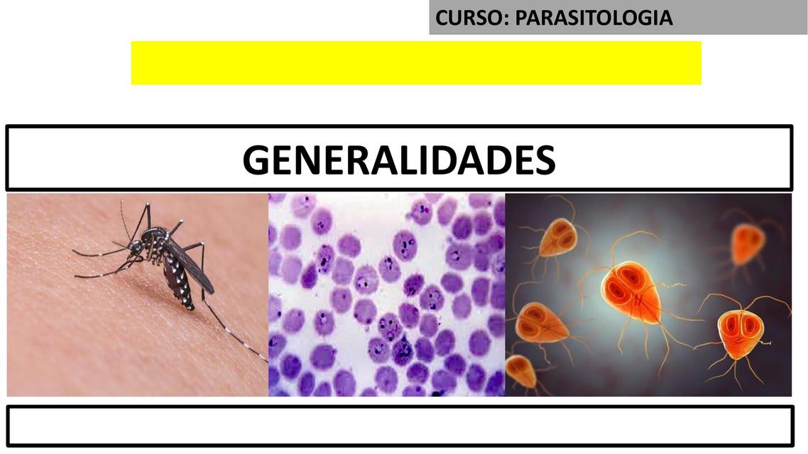Parasitología | Tiroxina Med | uDocz