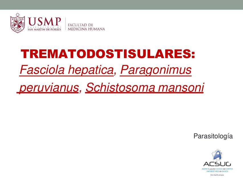 Trematodos Tisulares | Tiroxina Med 🩺 | uDocz